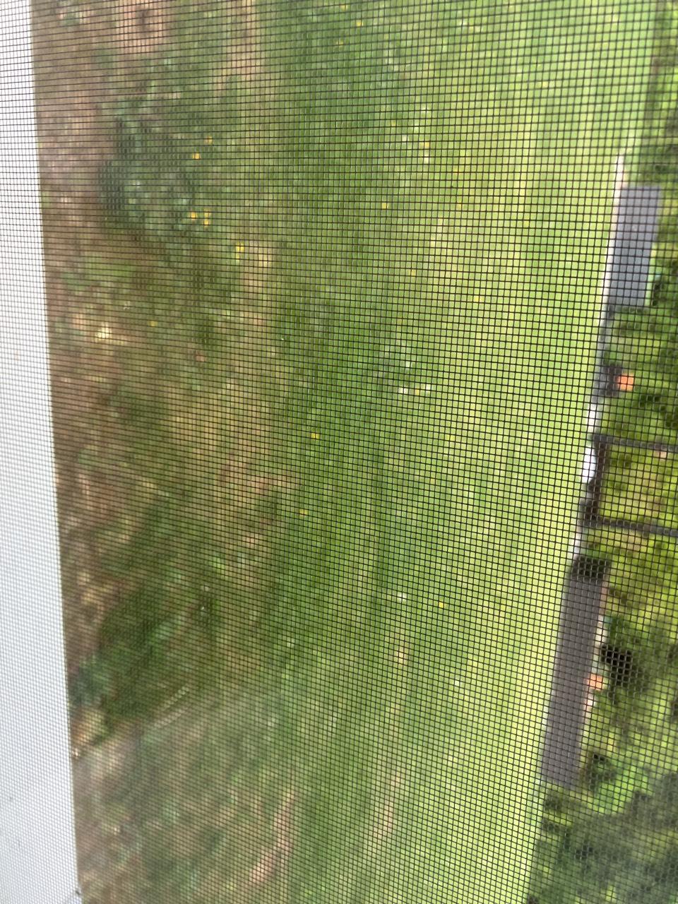 Wiesen: Wiese Futtergras zu Verschenken kaufen - Landwirt.com