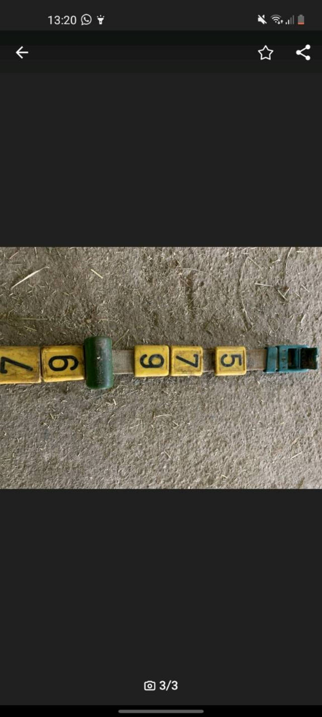 Innenmechanisierung: GEA Westfalia Responder Halsband gebraucht kaufen ...