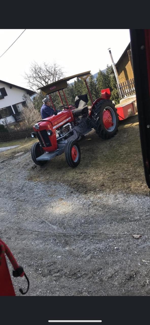 Massey Ferguson: Mf 25 gebraucht kaufen - Landwirt.com