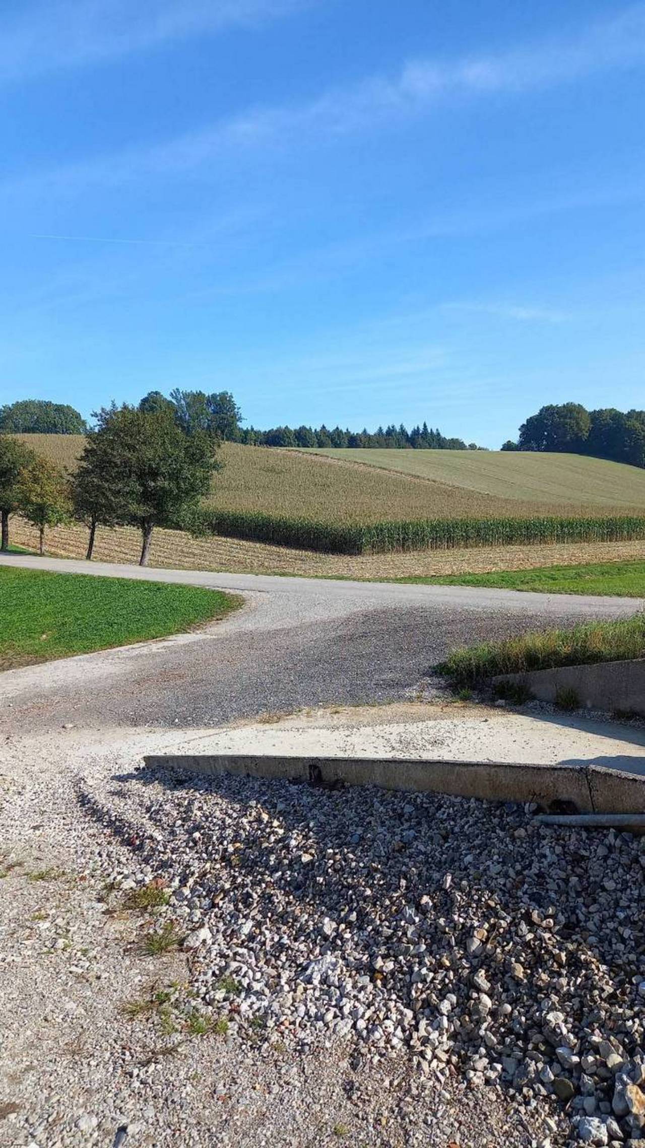 Mais Verkaufe Mais Kaufen Landwirt