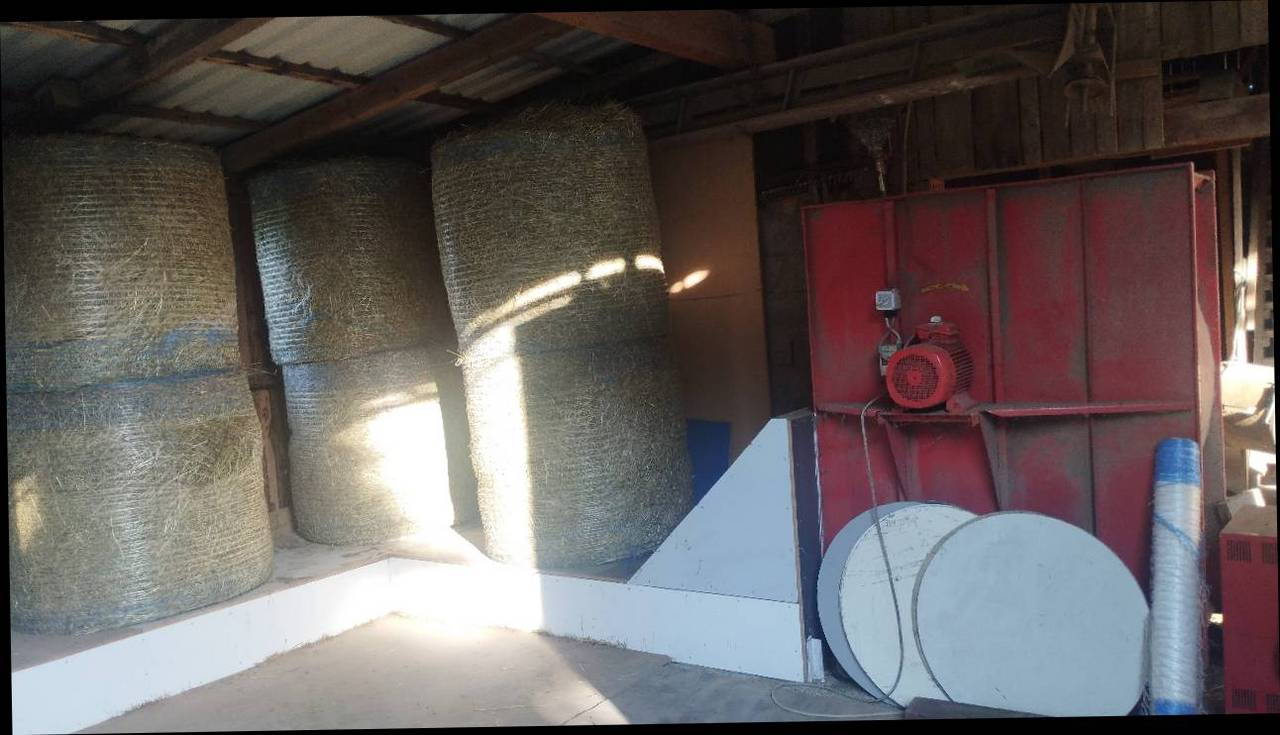 Heu: Gourmet Heuballen kaufen - Landwirt.com