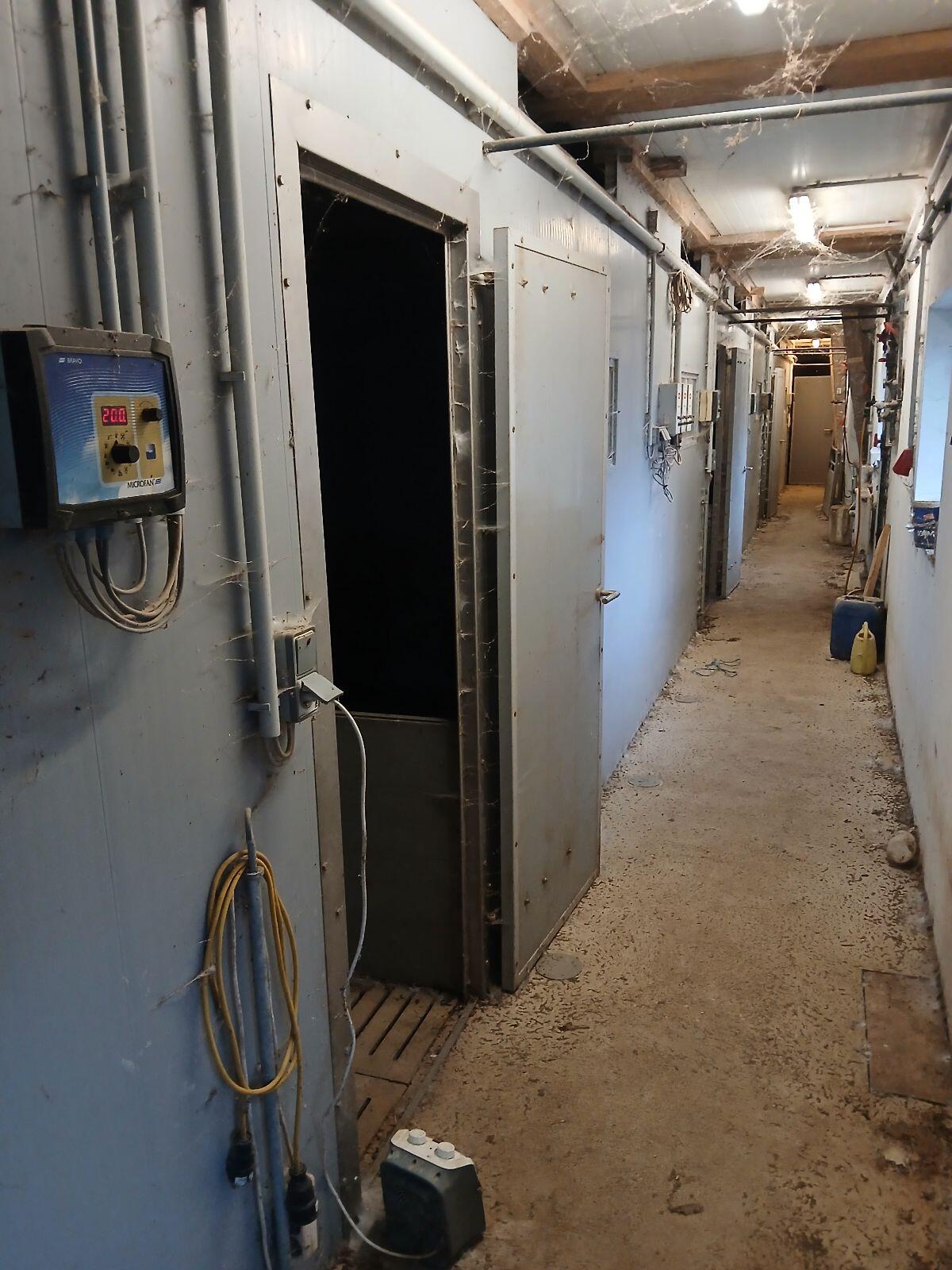 Stalltechnik: Ferkelstall-Aufstallung, Schweinestall kaufen · Landwirt.com
